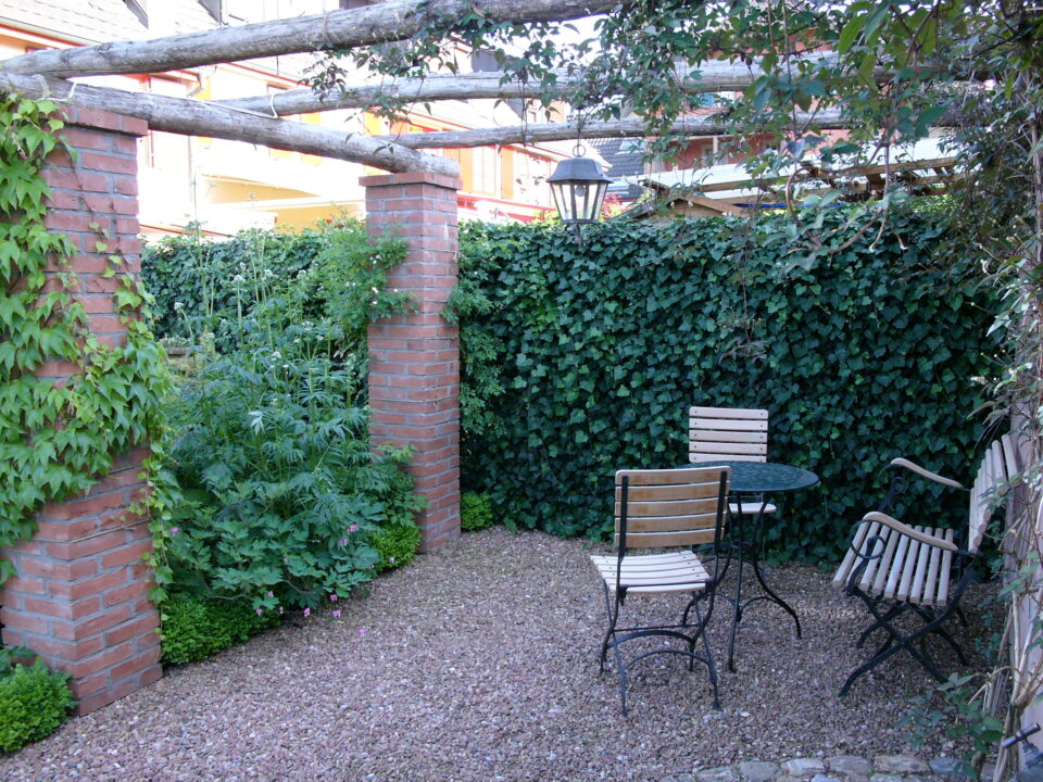 Efeu · Mario Knecht Gartengestaltung